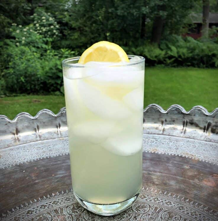 Sugar-Free Lemonade - Tart and Sweet without the Carbs - Sula and Spice