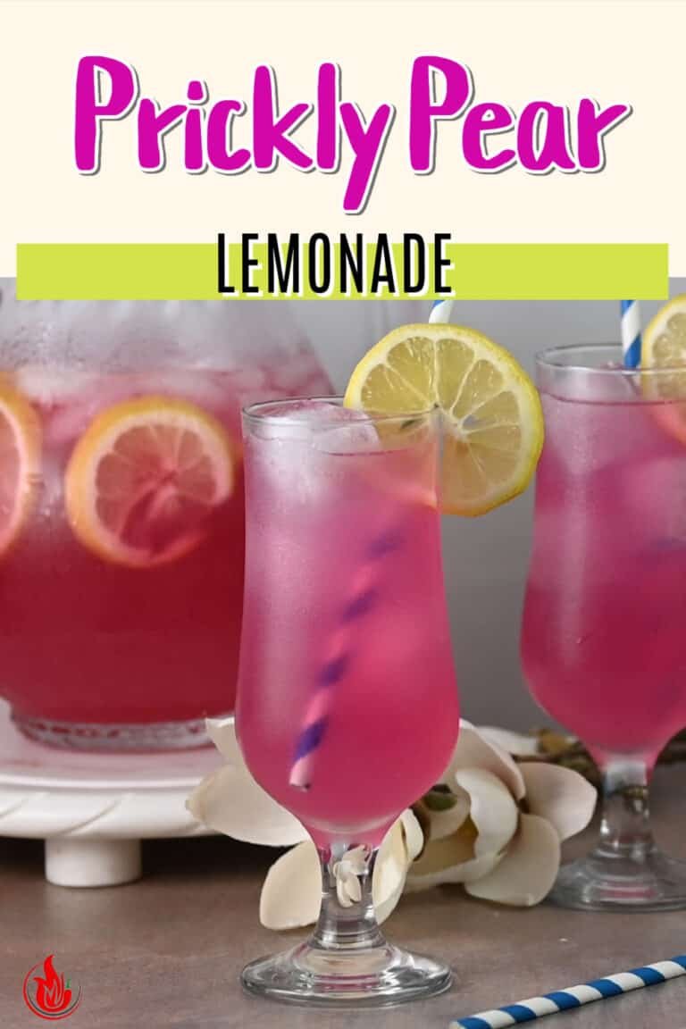 Prickly Pear Lemonade - Ovenspiration